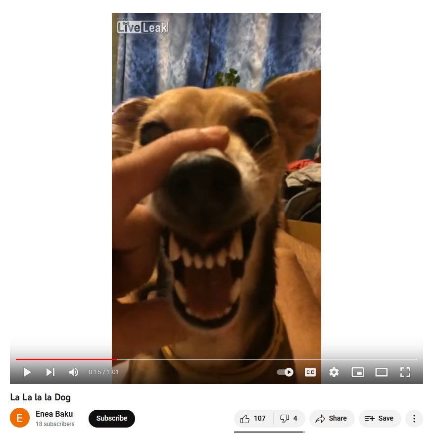 woot000 on Twitter: "currently looking for the source of the la la la dog video and i found a ...