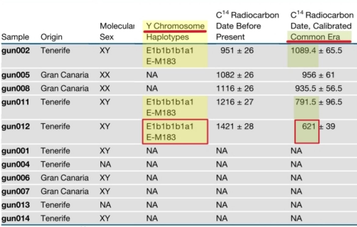 [THREAD] The connection of Imazighen to the paleolithic people of Northwest Africa and their ...
