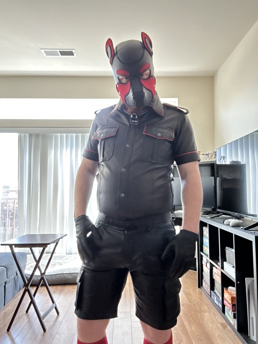 Acrasial Sylverwing 🦁🗞 on Twitter: "RT @PupGambit5: Some more gear in preparation for my first ...