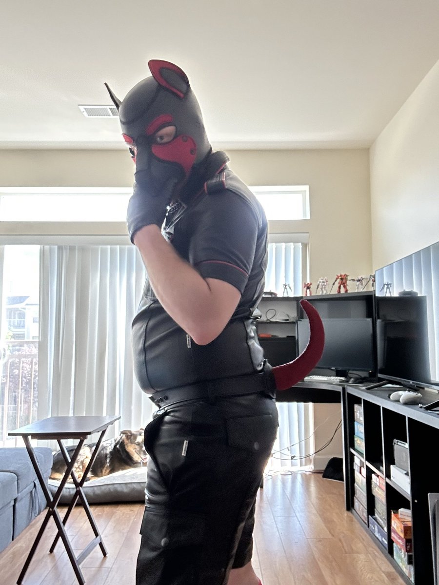 Acrasial Sylverwing 🦁🗞 on Twitter: "RT @PupGambit5: Some more gear in preparation for my first ...