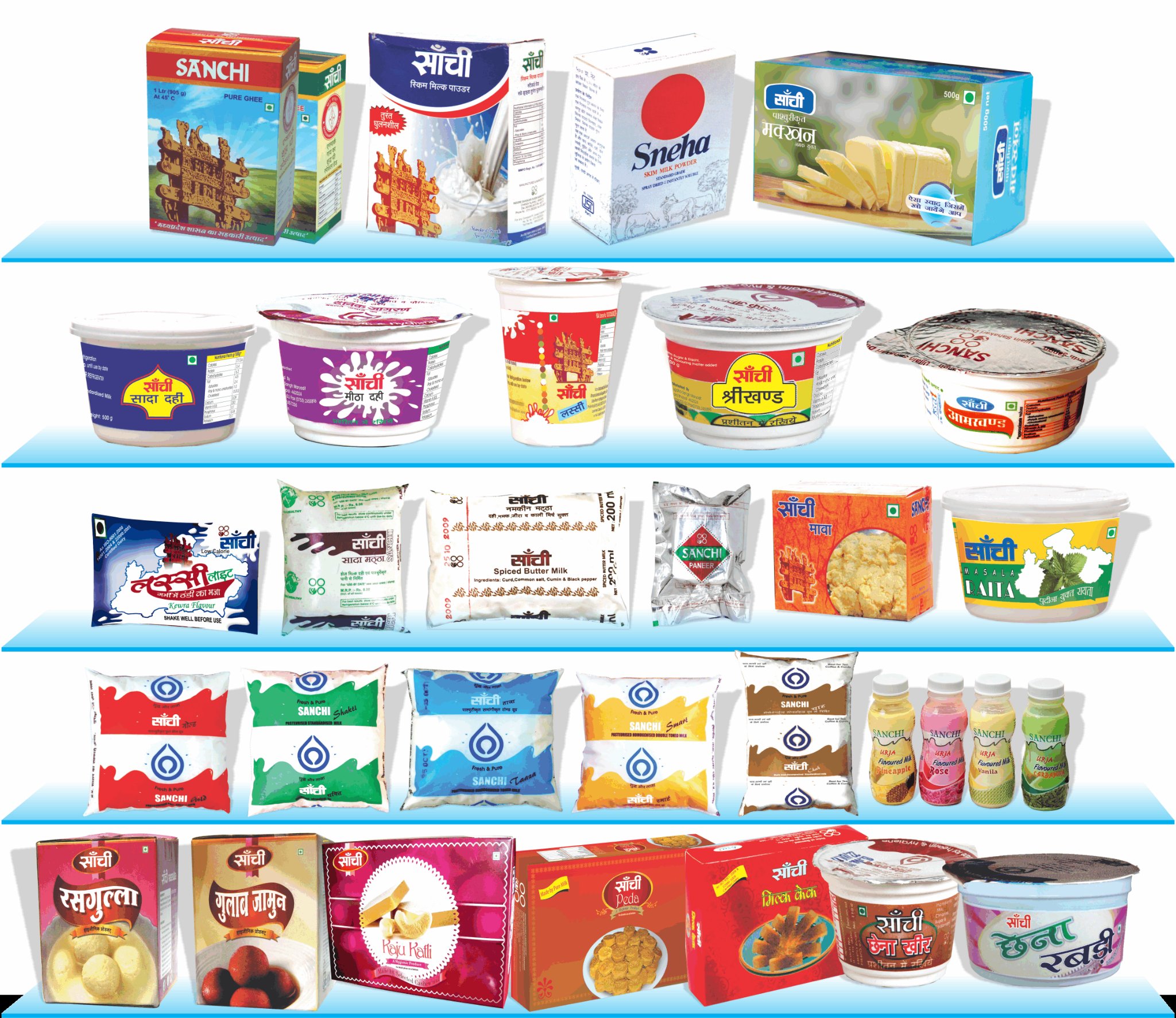 Indian Milk Products List
