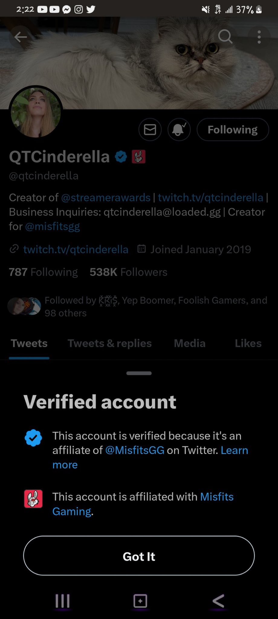 QTCinderella on Twitter: "Dear Haim family. I am also tall. Please adopt me, I would like to be ...