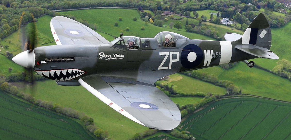 squawk7000.net on Twitter: "RT @stealthy360: Superarine Spitfire…”This spitfire is painted in ...
