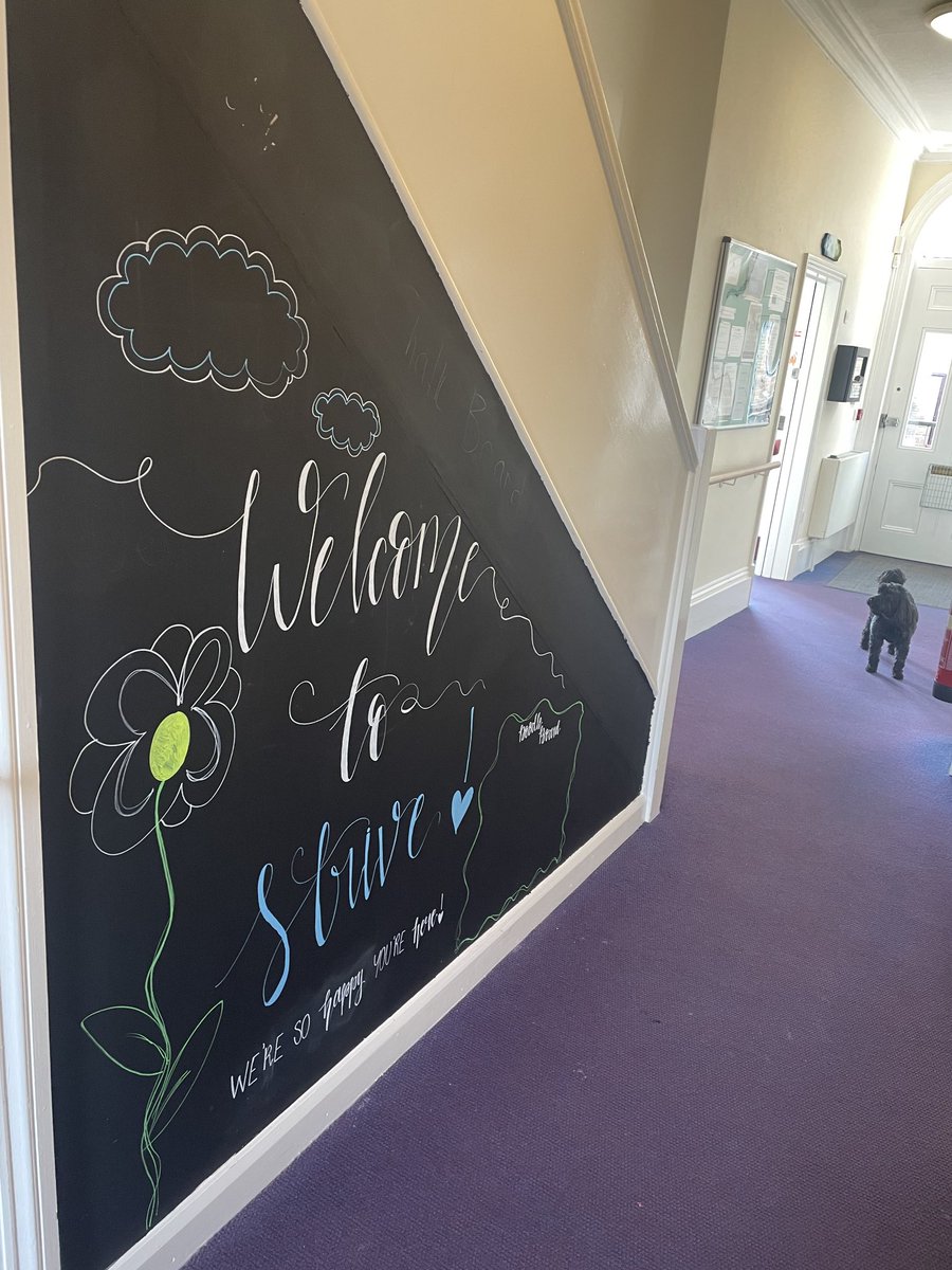 Home - Strive for Education