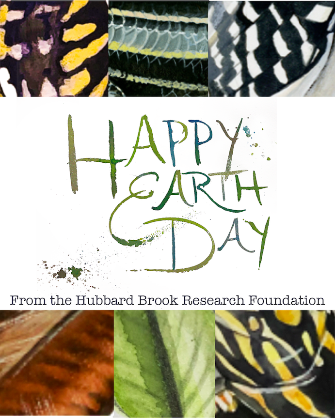 Home - Hubbard Brook Ecosystem Study