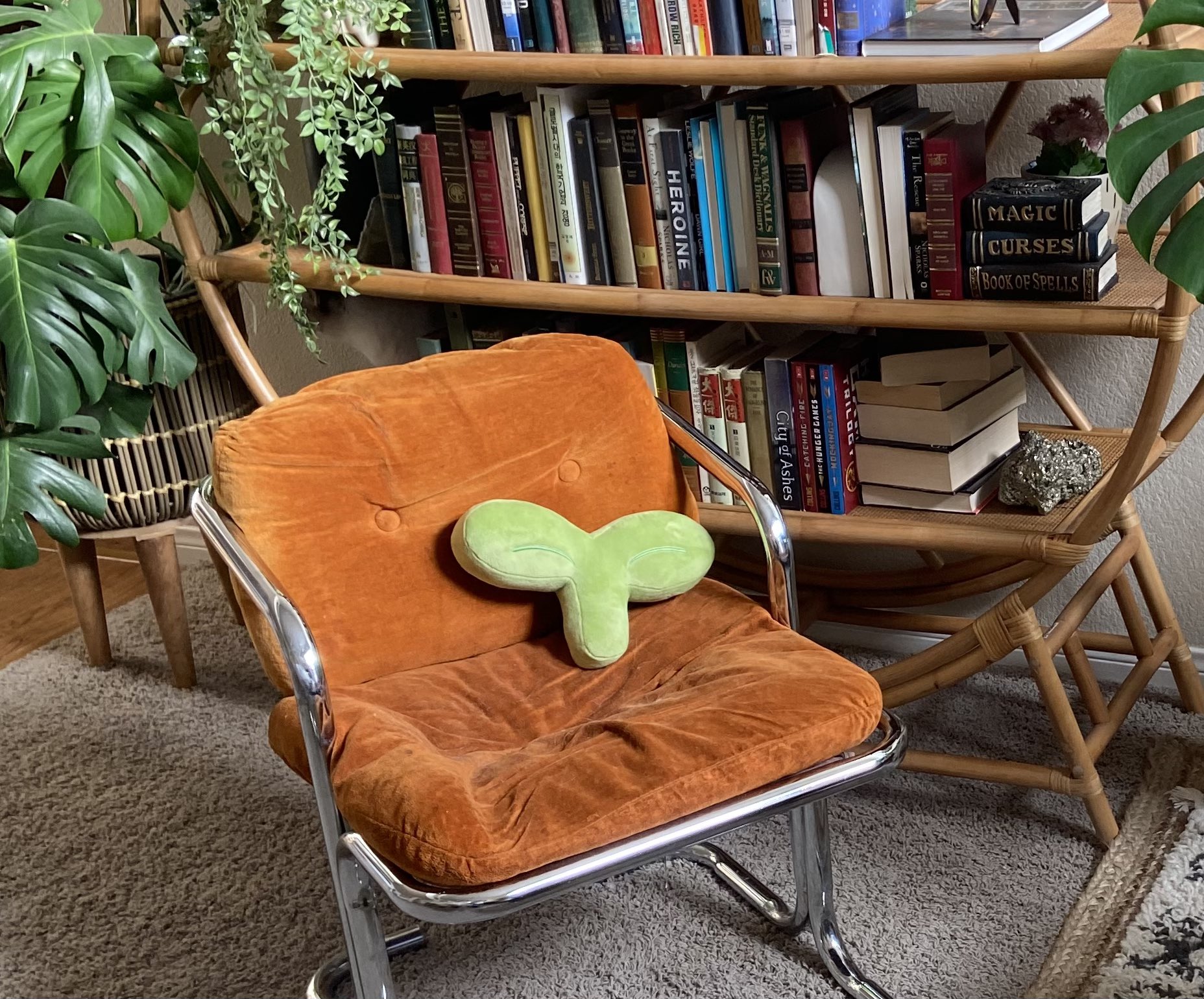 ˗ˏˋ ciara ˎˊ˗ on Twitter: "Sprout pillow 🌱 https://t.co/amIik7KiUk" / Twitter