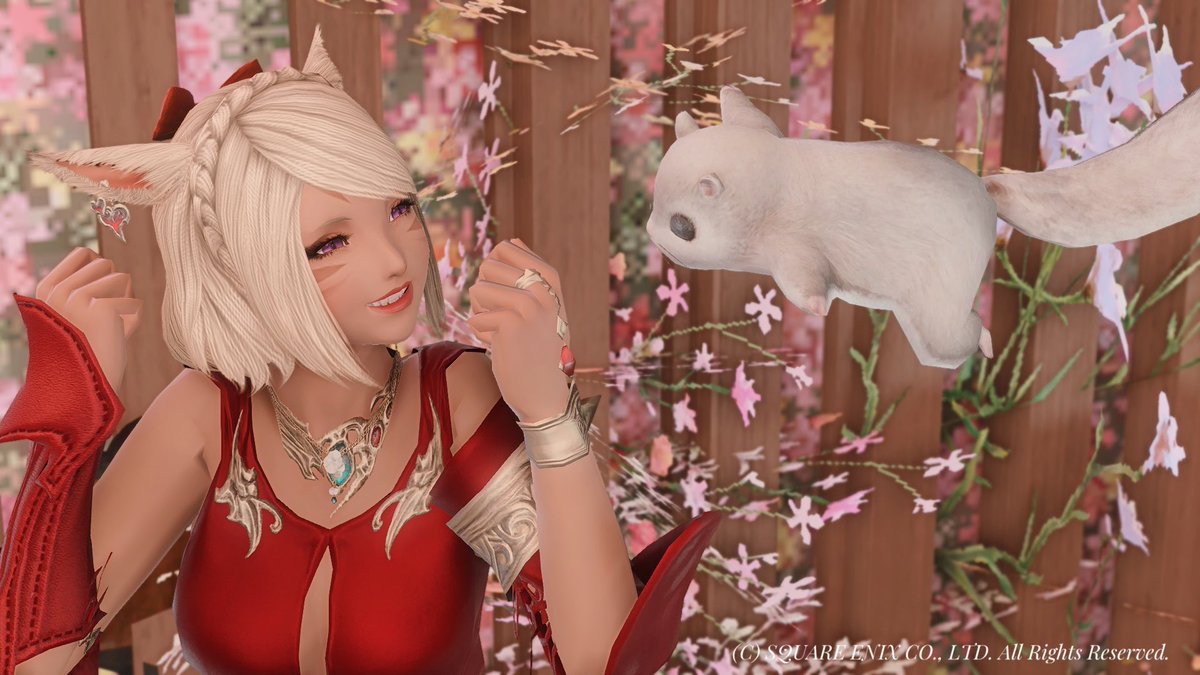 𝒜𝓂𝒶𝓃ℯ ⋆。゚・☽゚ On Twitter 今日も沢山の笑顔をありがとうございましたㅅ´ ˘ `💕 新しい店舗でバタバタもあったけどそれ含めて楽しめた1周年でした🍾 ︎