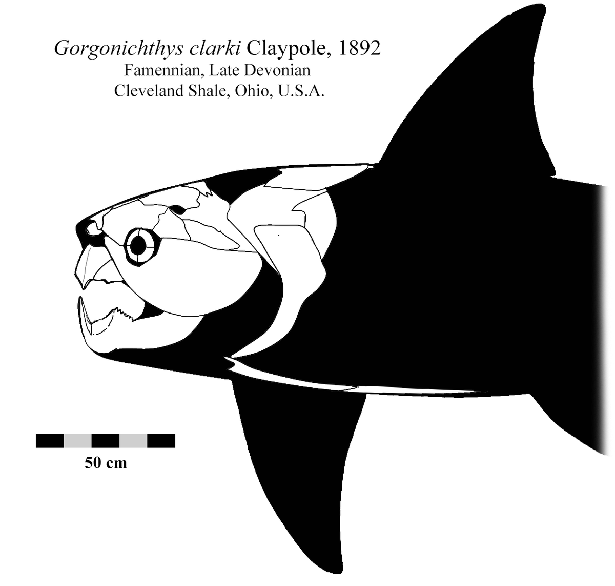 Fabio Alejandro (@FabioAleRomero) さんのイラスト・マンガ作品まとめ (129 件) - Twoucan