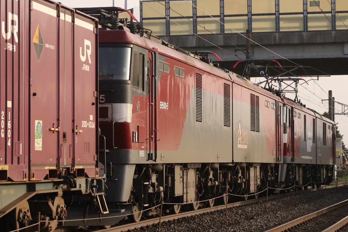 ふぉとれいん！ on Twitter: "2023/4/22 4081レ EH500-6+EH500-5(無動)+コキ??B ヌル晴れ・ほぼ曇り・②で誠に不快。 没です。"