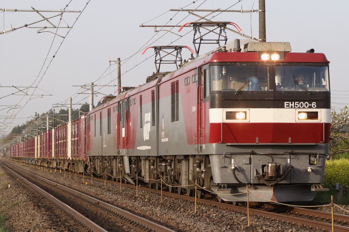 ふぉとれいん！ on Twitter: "2023/4/22 4081レ EH500-6+EH500-5(無動)+コキ??B ヌル晴れ・ほぼ曇り・②で誠に不快。 没です。"