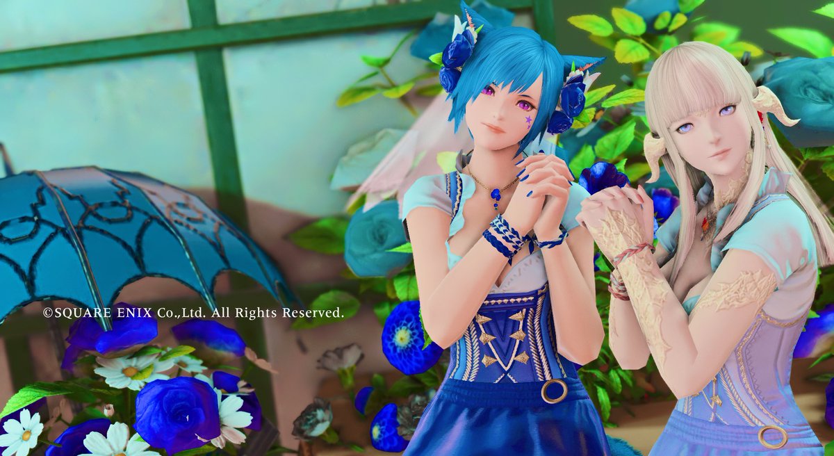 Studio_PP お花セラピースタジオ | StudioXIV