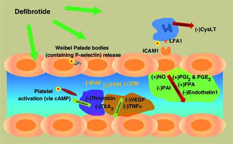 Thread by @NicoGagelmann on Thread Reader App – Thread Reader App