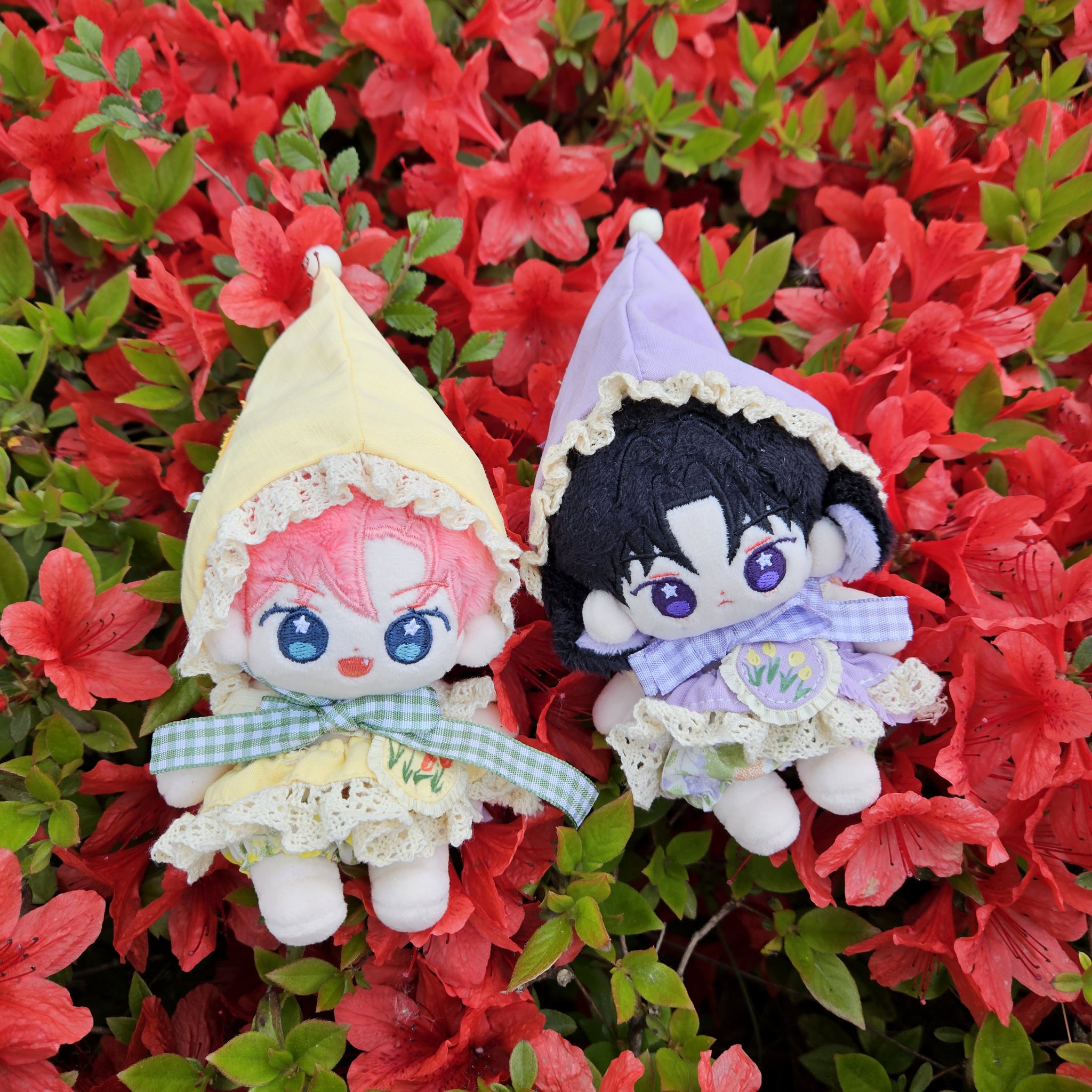 포이솜 (@poi_som) / Twitter