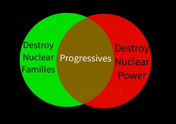 Fission And Fusion Venn Diagram