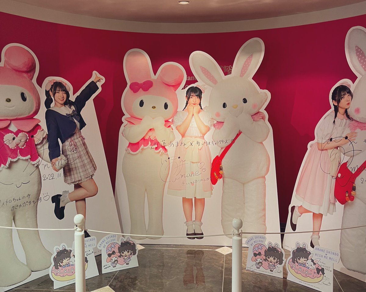 進藤あまね×サンリオキャラクターズ PremiumShop on Twitter: "RT @amane_bushi: 感謝。"