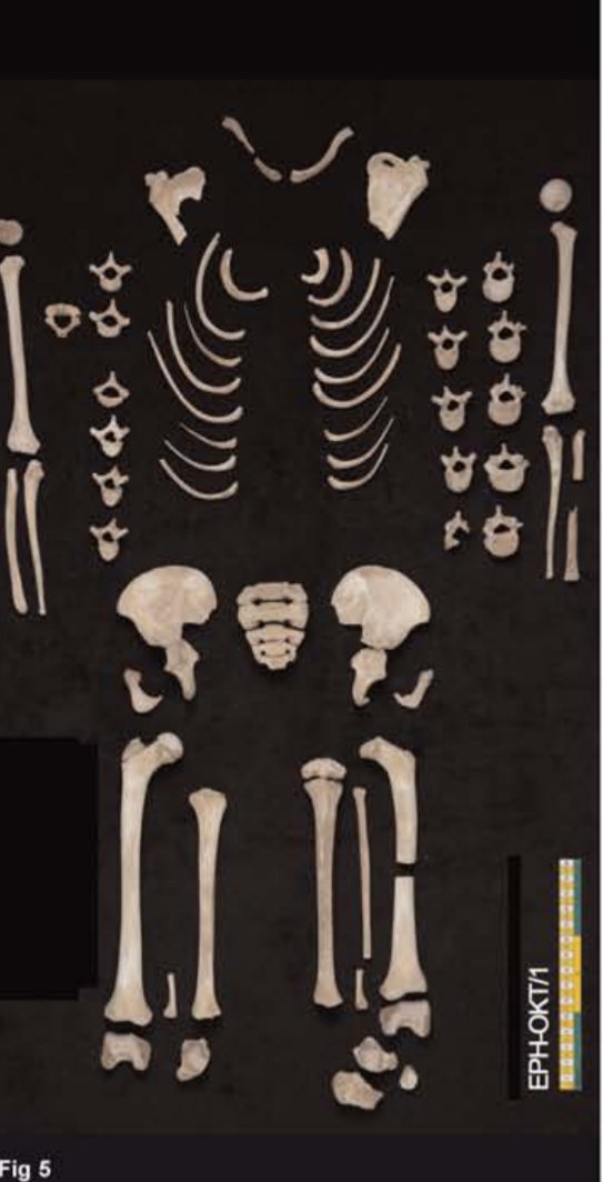 History of Africa Podcast on Twitter: "The body recovered at Ephesus was missing the head, but ...