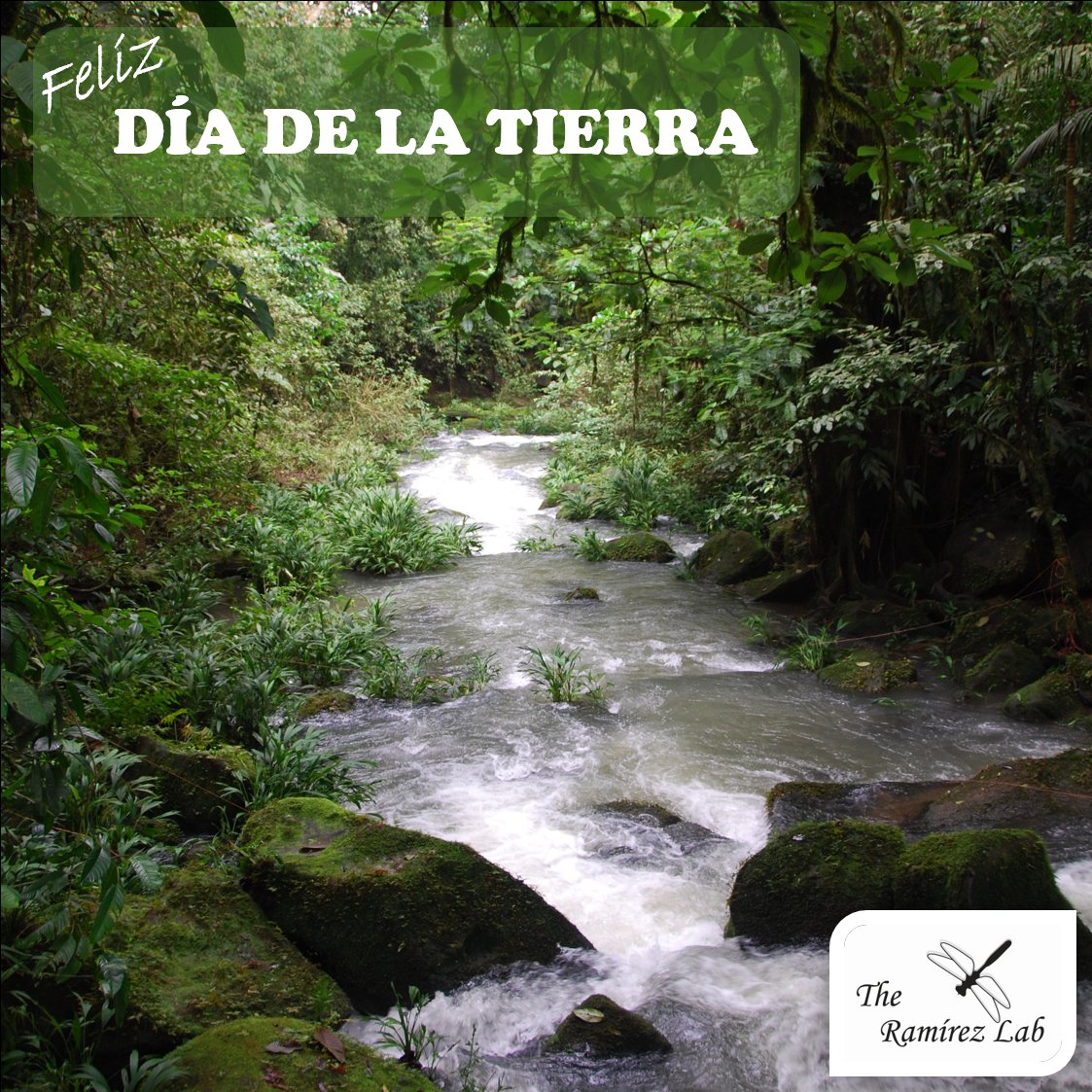 ARamirez Lab on Twitter: "Streams and rivers are the veins of our ...