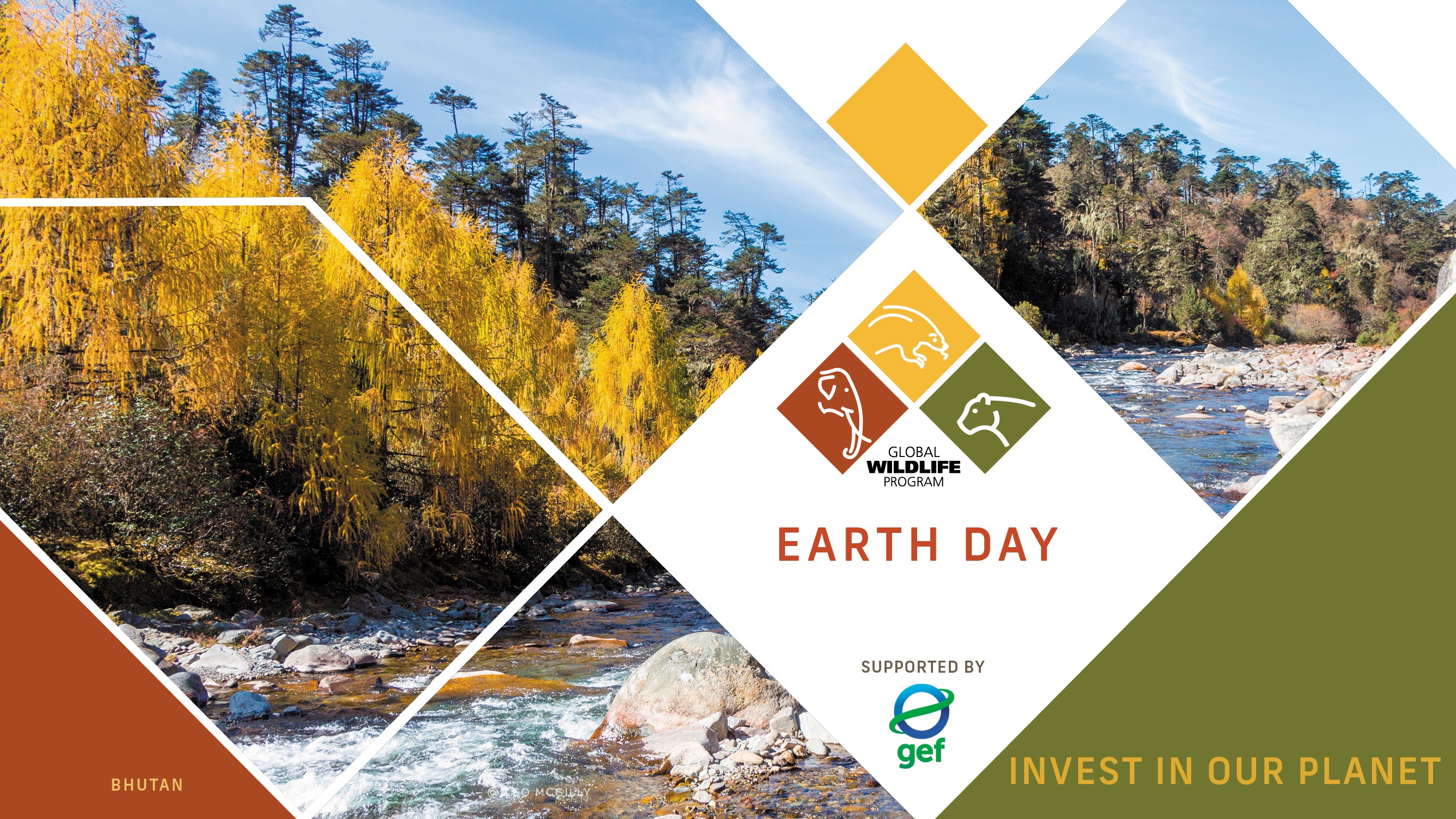 Global Environment Facility (GEF) (@theGEF) / Twitter