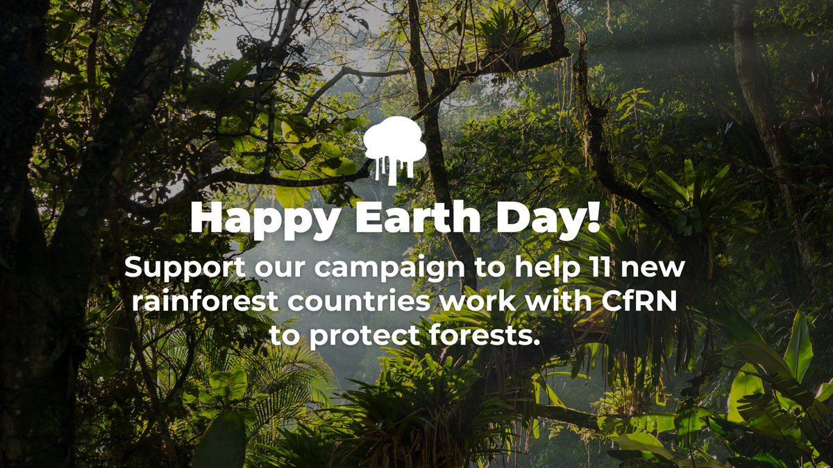 CfRN COP27 2022 - Coalition for Rainforest Nations