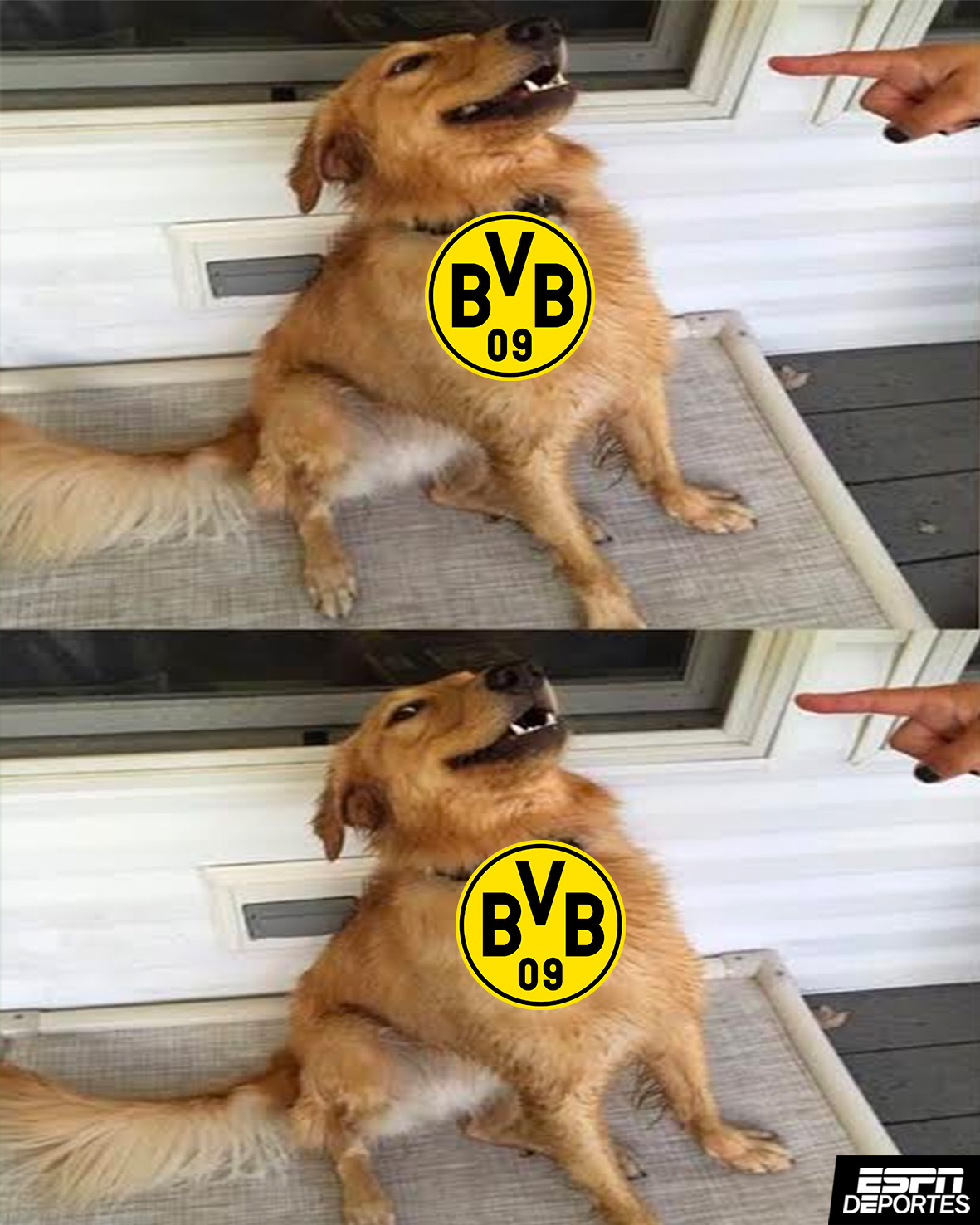 Vaya Meme De Perro Vaya Meme Subido Por _mewtwo.1.2 :) Memedroid