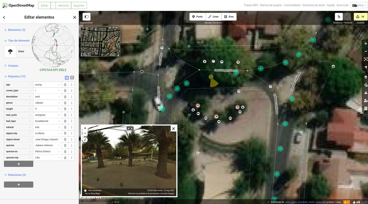 openmapchile (OMCh) on Twitter: "📌🌴📸🗺️ 03 #Jubaeas chilensis #Palma 🇨🇱en la plaza #Chile-Perú, # ...