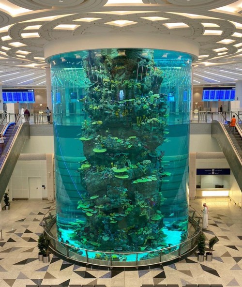 Worlds Largest Fish Tank Times Square Large Aquarium Project Bespoke