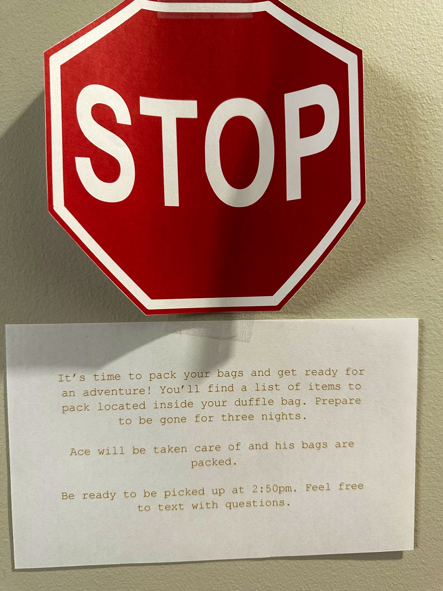 Stop Packing Your Bags