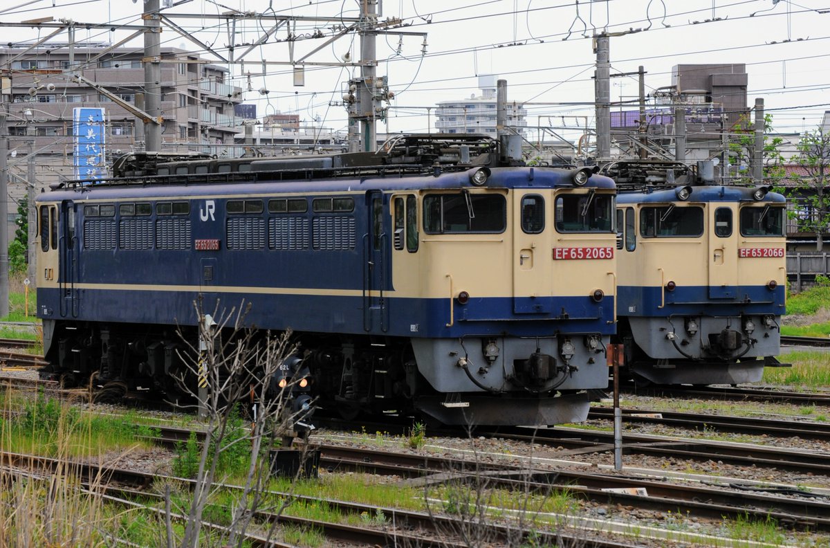 satoru_8888 on Twitter: "2023/04/23 新鶴見機関区 EF65 2065 EF65 2066 9:55ごろ"