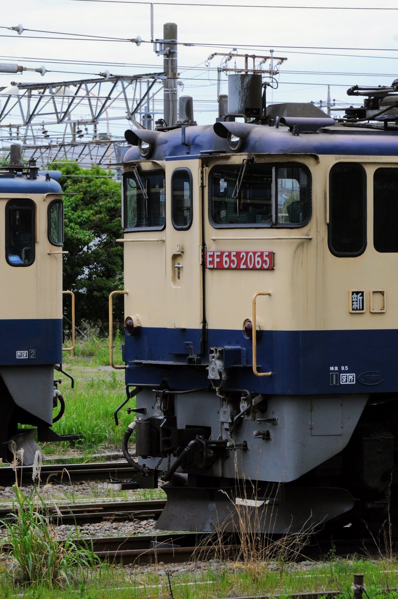 satoru_8888 on Twitter: "2023/04/23 新鶴見機関区 EF65 2065 EF65 2066 9:55ごろ"