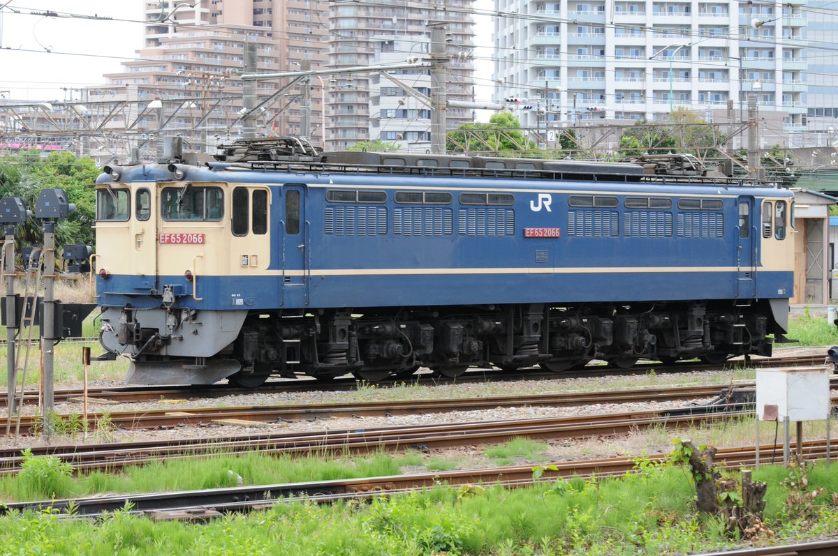 satoru_8888 on Twitter: "2023/04/23 新鶴見機関区 EF65 2065 EF65 2066 9:55ごろ"