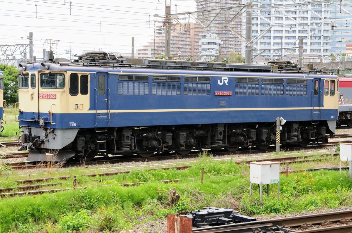 satoru_8888 on Twitter: "2023/04/23 新鶴見機関区 EF65 2065 EF65 2066 9:55ごろ"