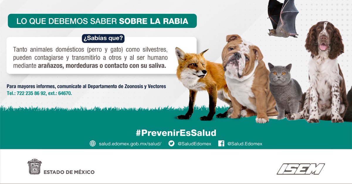 Secretaría De Salud Del Estado De México On Twitter Preveniressalud