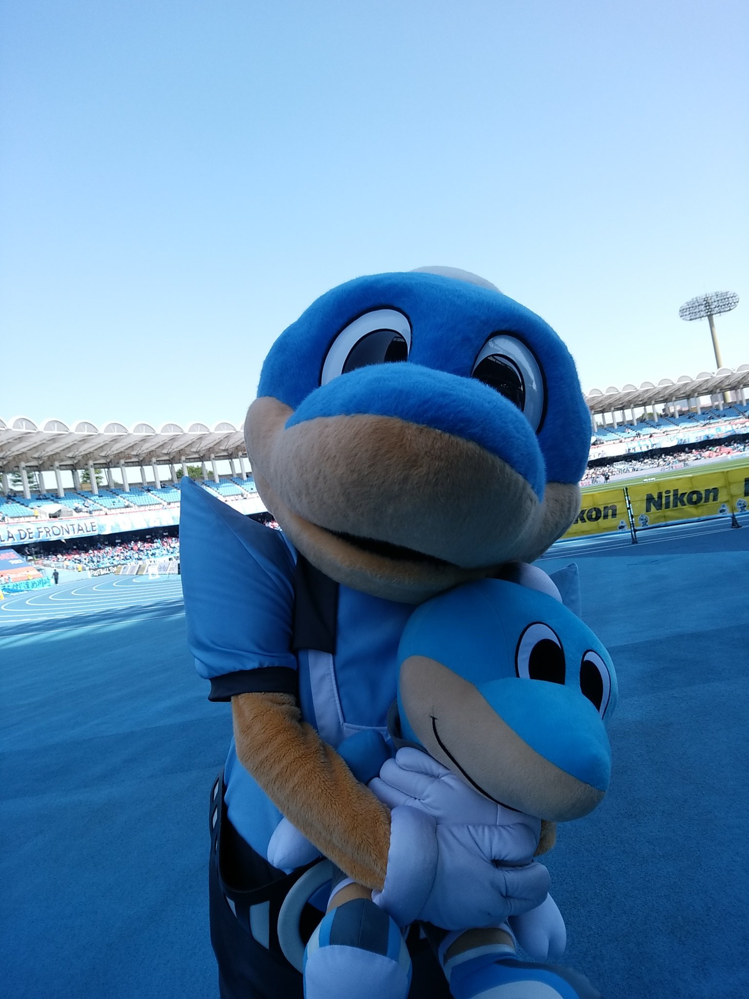 𝓢𝓱𝓲𝓱𝓸🐬🩵 (@_shihonta) / Twitter