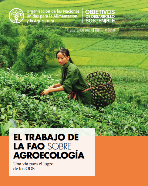 Fao México On Twitter Agroecología Herramienta Clave En La