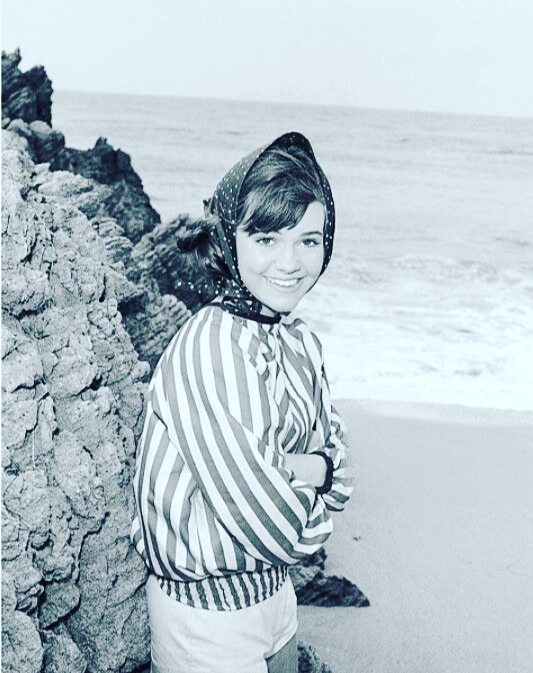 Notablephotos On Twitter Sally Field 1960s