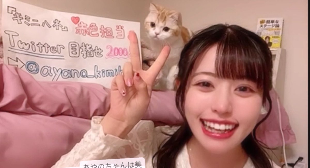 春あやの🐱🌸キミニハネ On Twitter 少しのつもりが1時間半くらいしてた😳 あやのは、配信したい!!って思った時にゲリラでやるからいつも楽しいしずっと笑ってる配信になる😂 今日は
