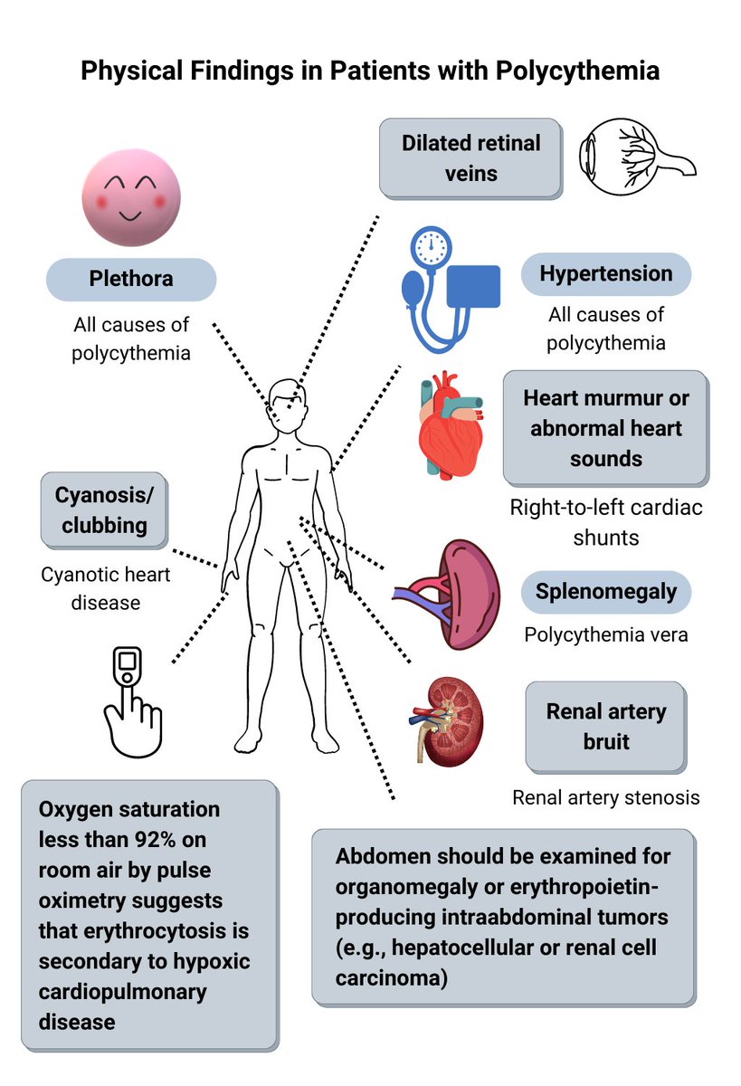 Plethora In Polycythemia Vera