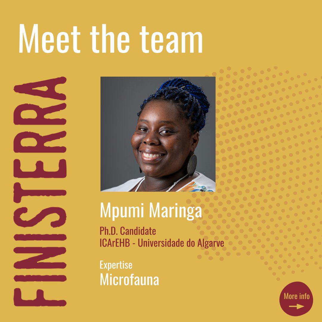 FINISTERRA ERC on Twitter: "👋 Meet the team behind the @Finisterra_ERC project! This week we ...