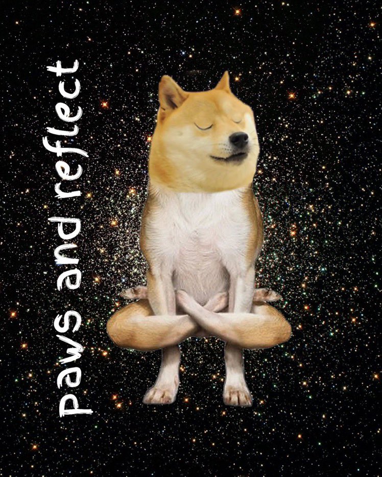 Doge Follow Your Dreams