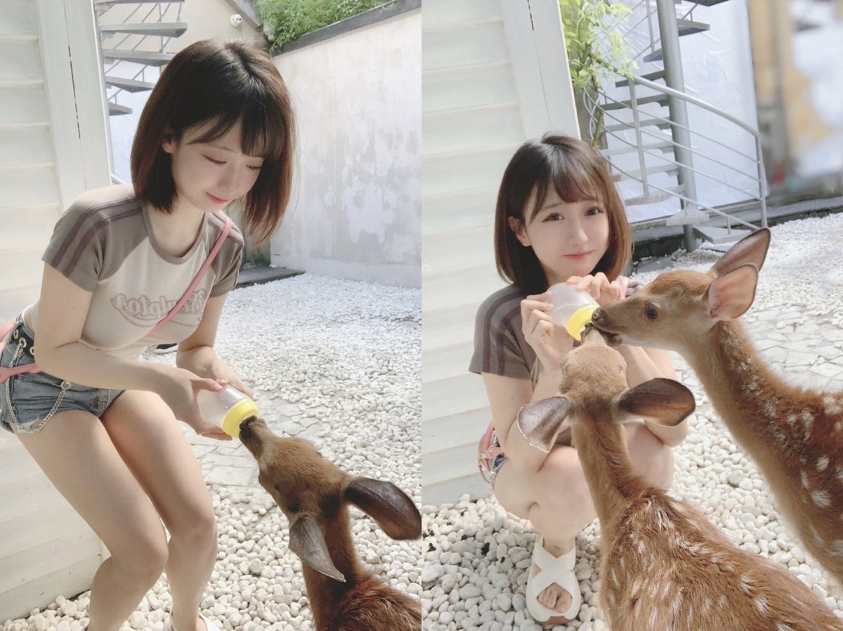 meiguanxi on Twitter: "可爱 @chanbaekkailu1"