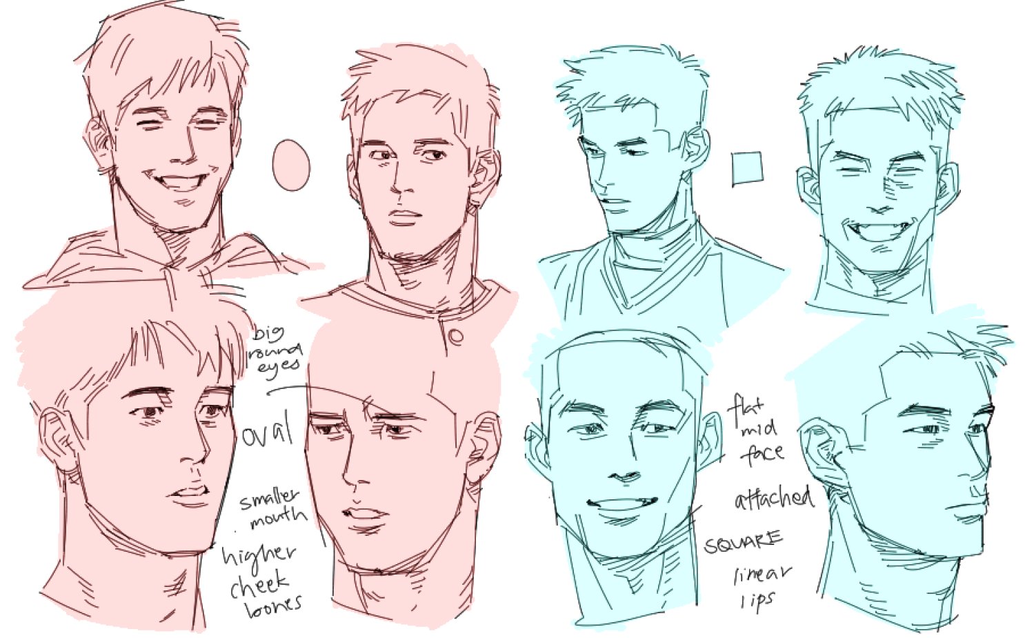 Human Male Face Reference
