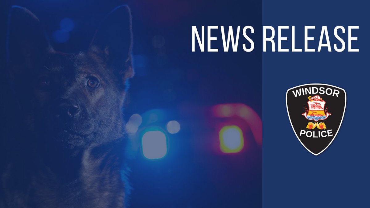 Windsor Police On Twitter Case 23 41114 Shots Fired At A House In