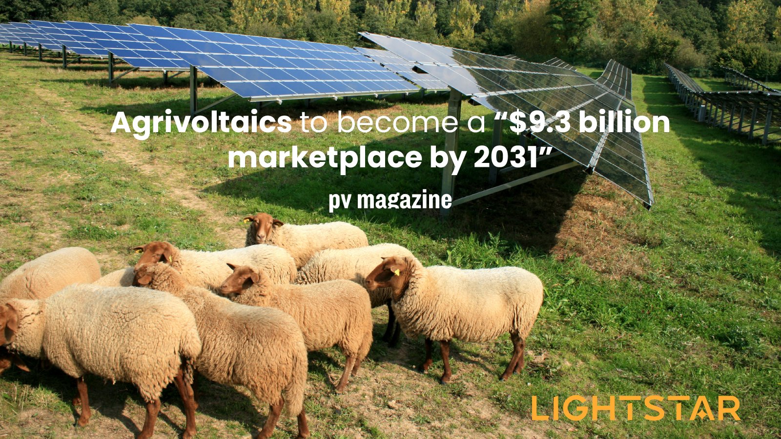 Lightstar Renewables (@Lightstar_Solar) / Twitter