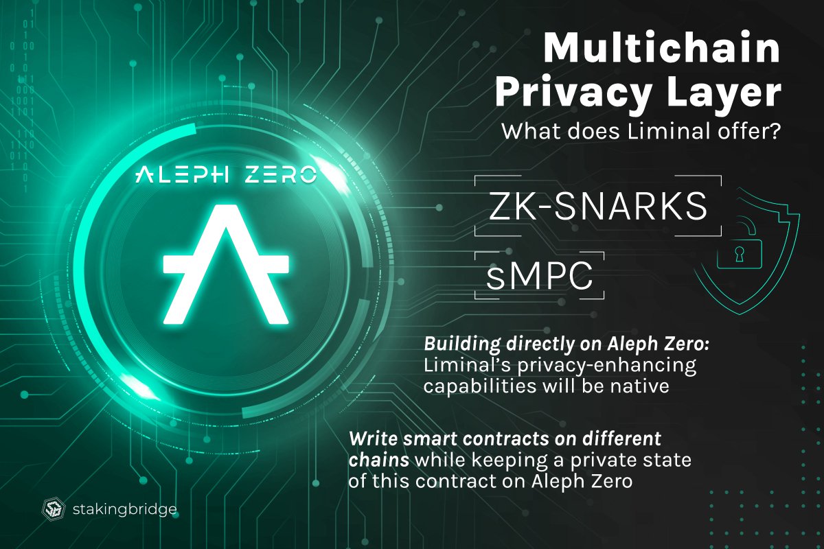 Stakingbridge on Twitter: "First use cases for #Liminal, @Aleph_zero's privacy layer: 👤 ...