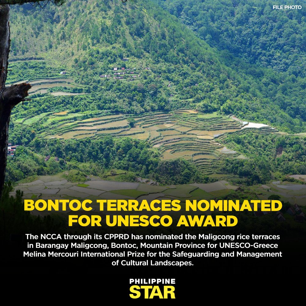 The Philippine Star on Twitter: "The Maligcong rice terraces of Bontoc is one of the treasures ...