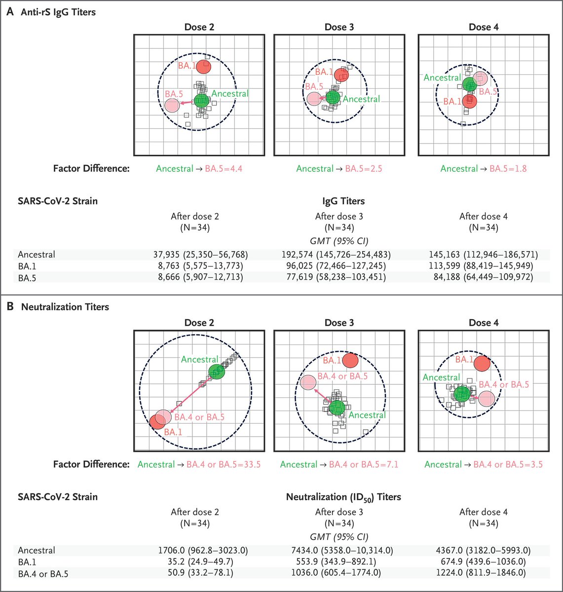 Thread by @Friesein on Thread Reader App – Thread Reader App