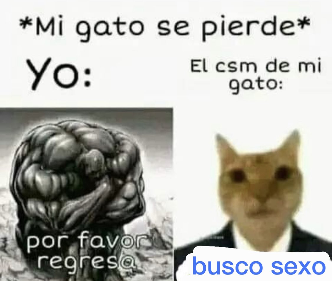 Musa ⁎⊹ On Twitter Podría Ser Koda