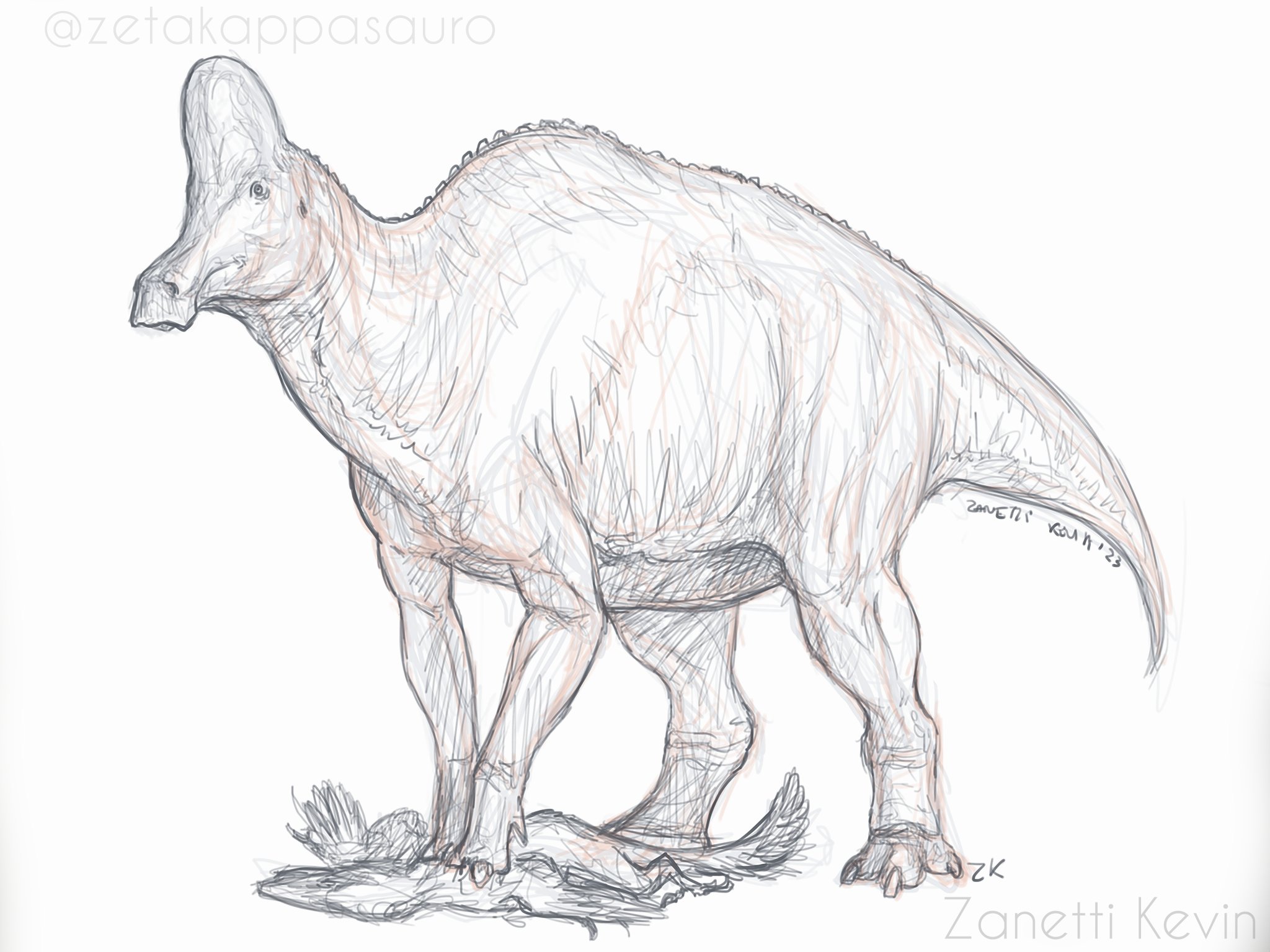 Corythosaurus Coloring Page
