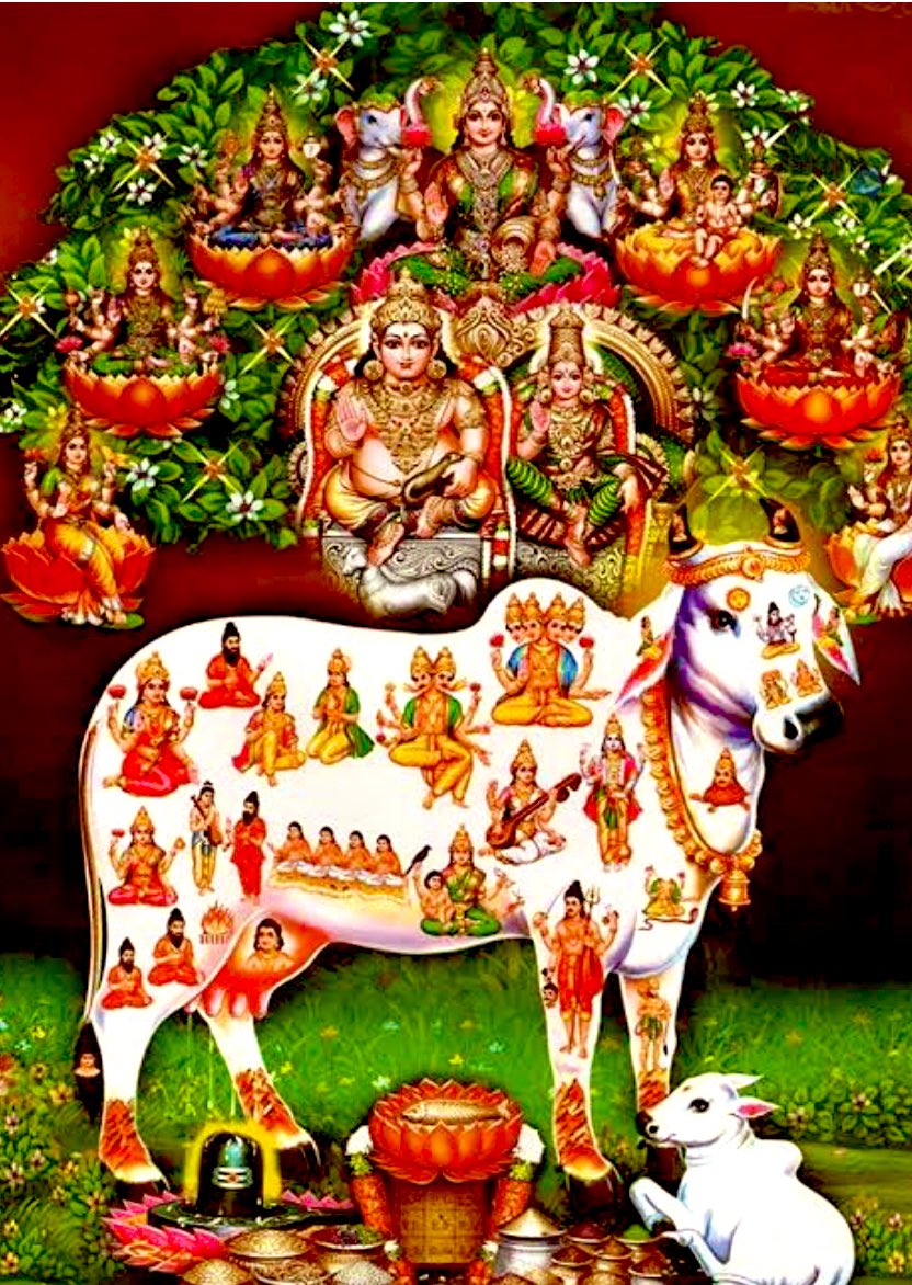 Twinkle's Threads – Thread Reader App