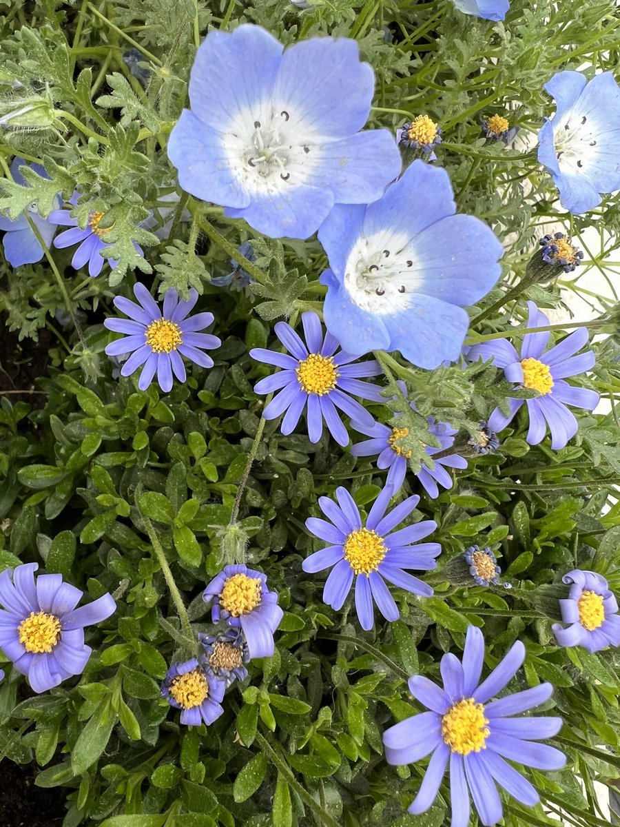 😍 Saruul 🌎🙋‍♀️ On Twitter Шинэхэн өглөөний мэндээ 🙌 Инээмсэглэл эрч хүч дүүрэн өдөр байх